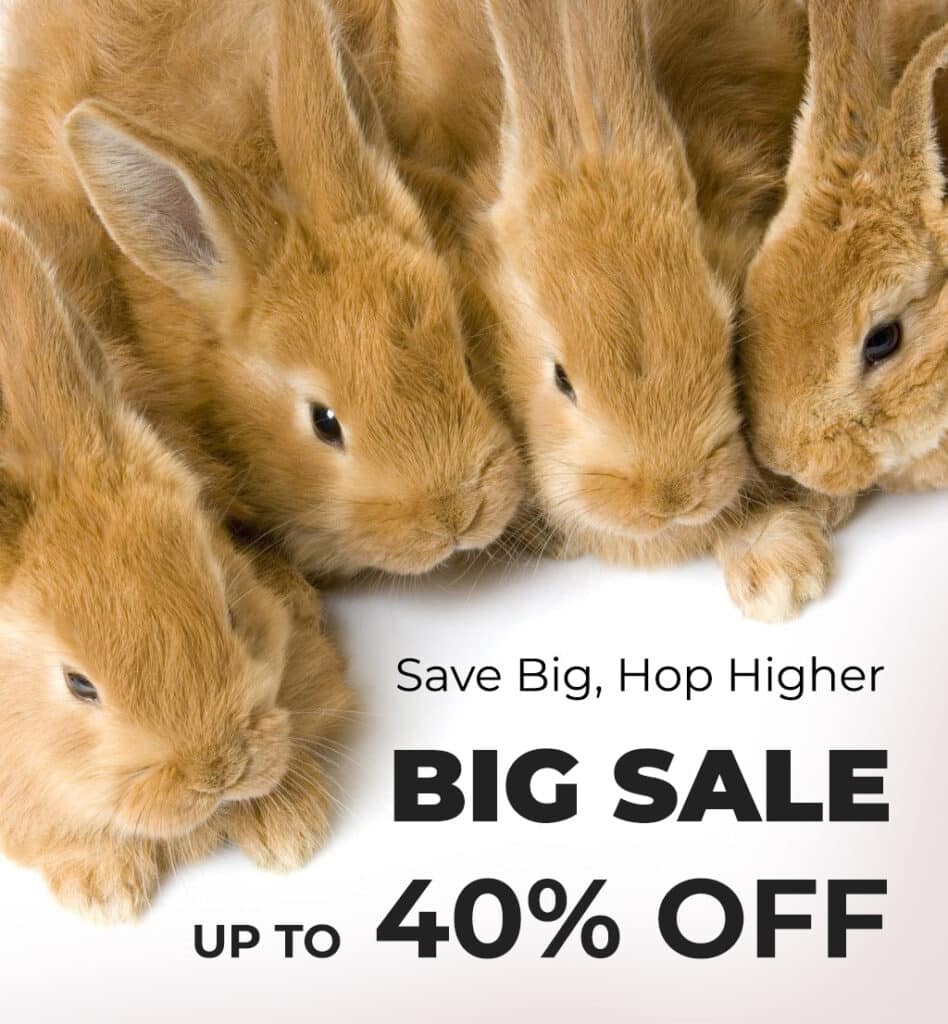 Pet Rabbit Supplies, Pet Bunny Supplies - Best Online Store For Rabbit ...